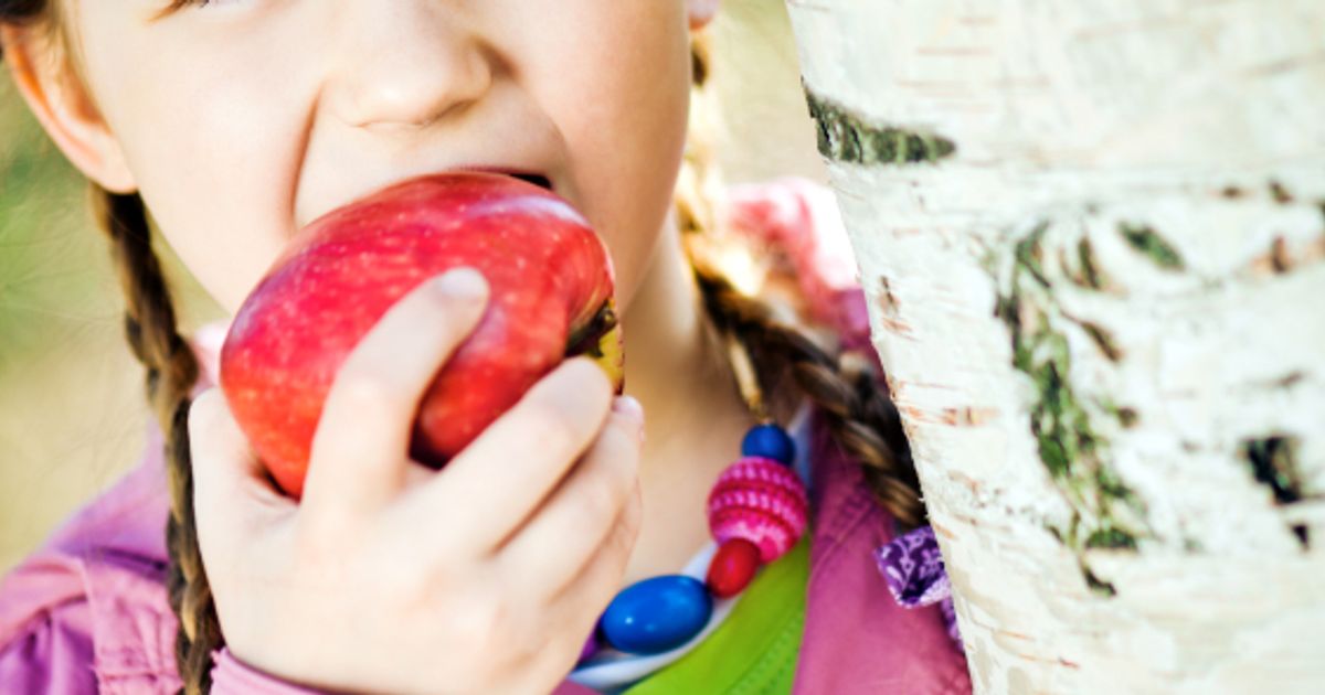 Preschooler snacks - Today's Parent