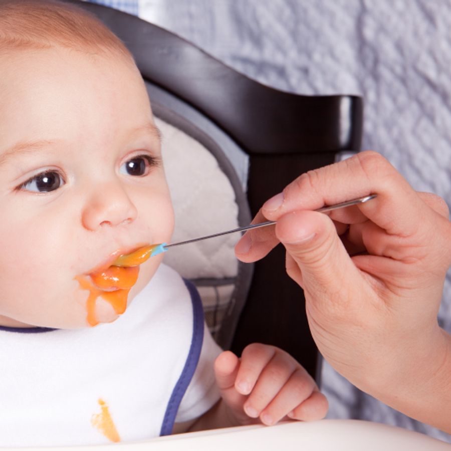 Gerber Feeding Baby Solid Food Chart