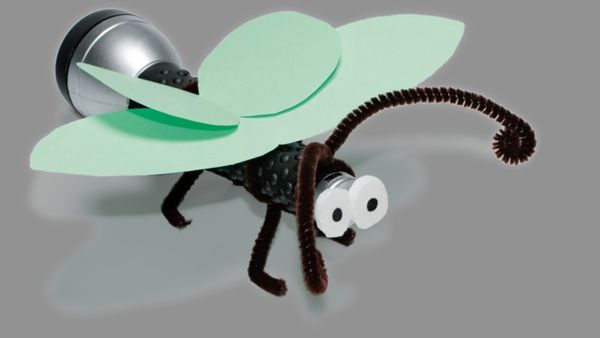 Craft: How to make a firefly - Today's Parent