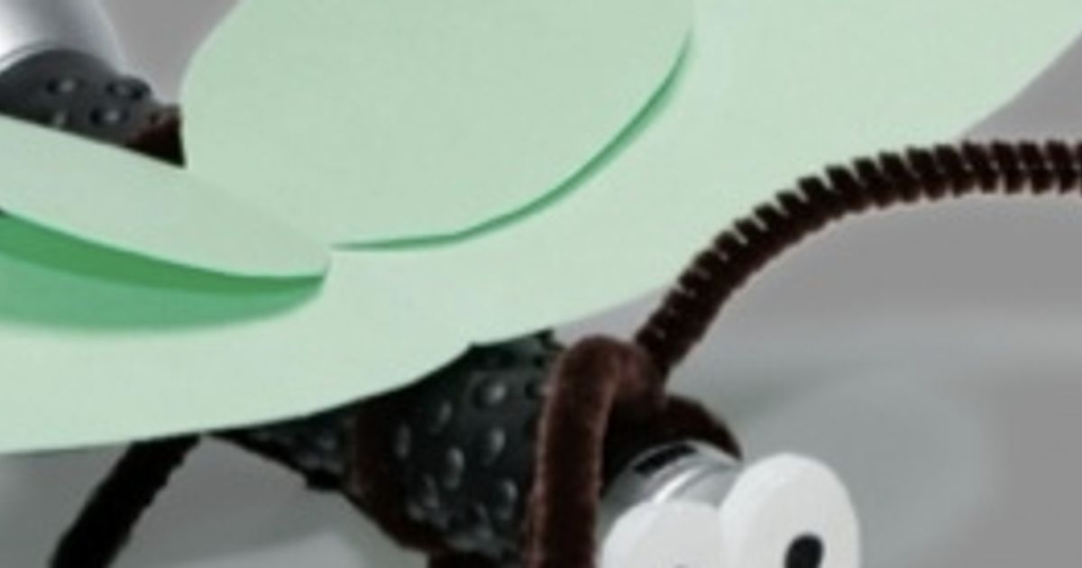 Craft: How to make a firefly - Today's Parent