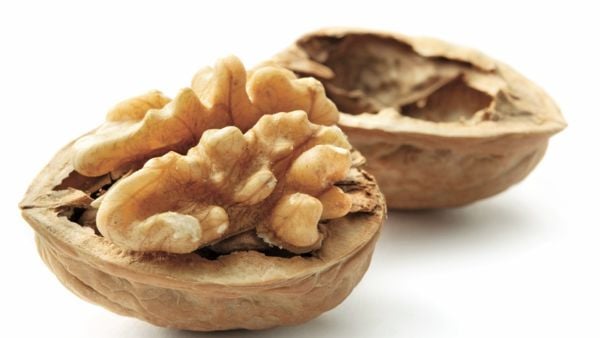 8 most common allergies - Today's Parent