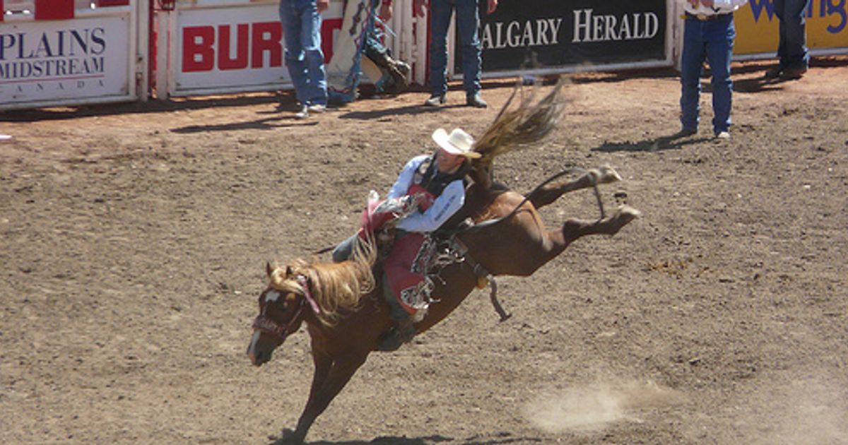 Calgary Stampede: What to do with kids - Today's Parent