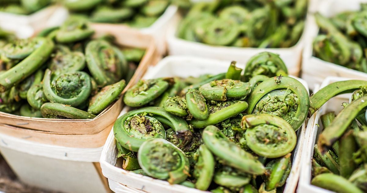 How to cook fiddleheads safely - Today's Parent