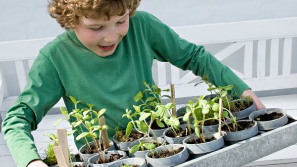 5 family gardening activities - Today's Parent - Today's Parent