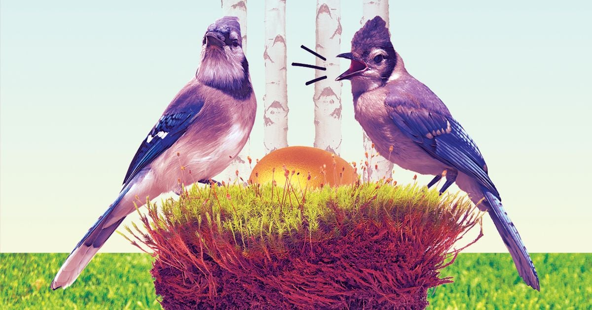 When parents have different parenting styles - Today's Parent