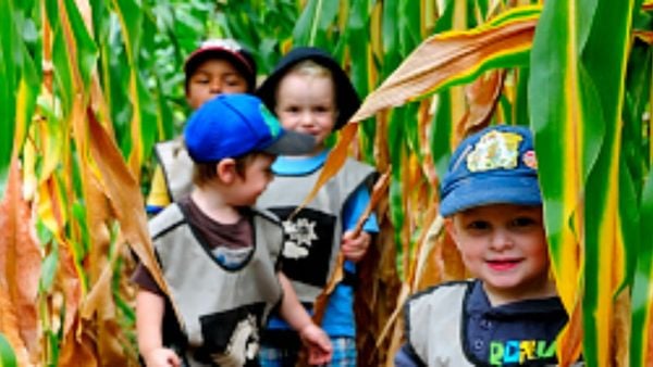 The best apple orchards and farms across Canada - Today's Parent ...