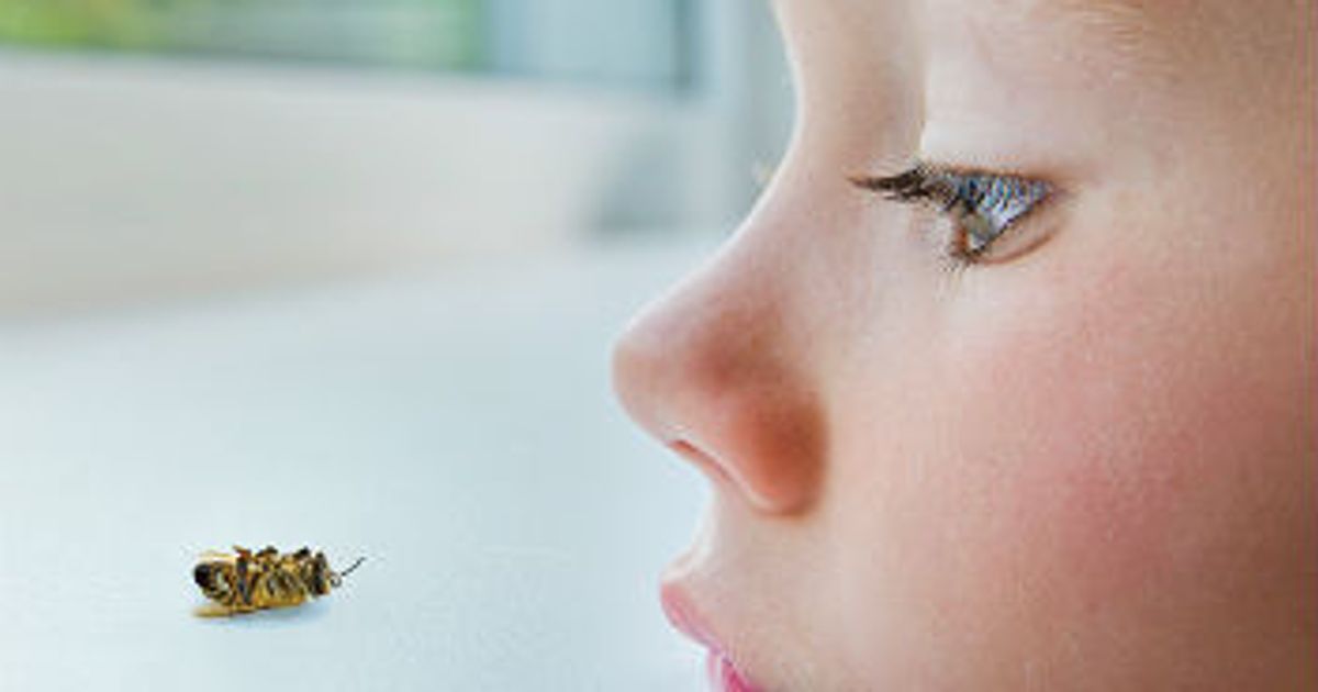 How to talk to your preschooler about death - Today's Parent