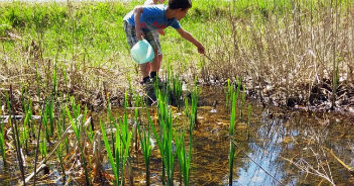 12 reasons I'm glad it's finally spring - Today's Parent