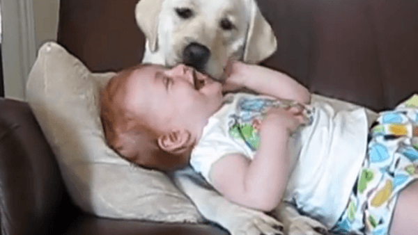 National Puppy Day: 7 adorable videos of kids and dogs - Today's Parent