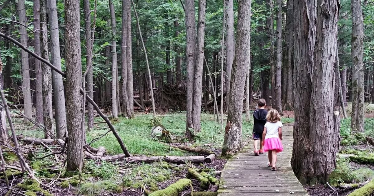 Radical unschooling a little too free for this free-range parent ...