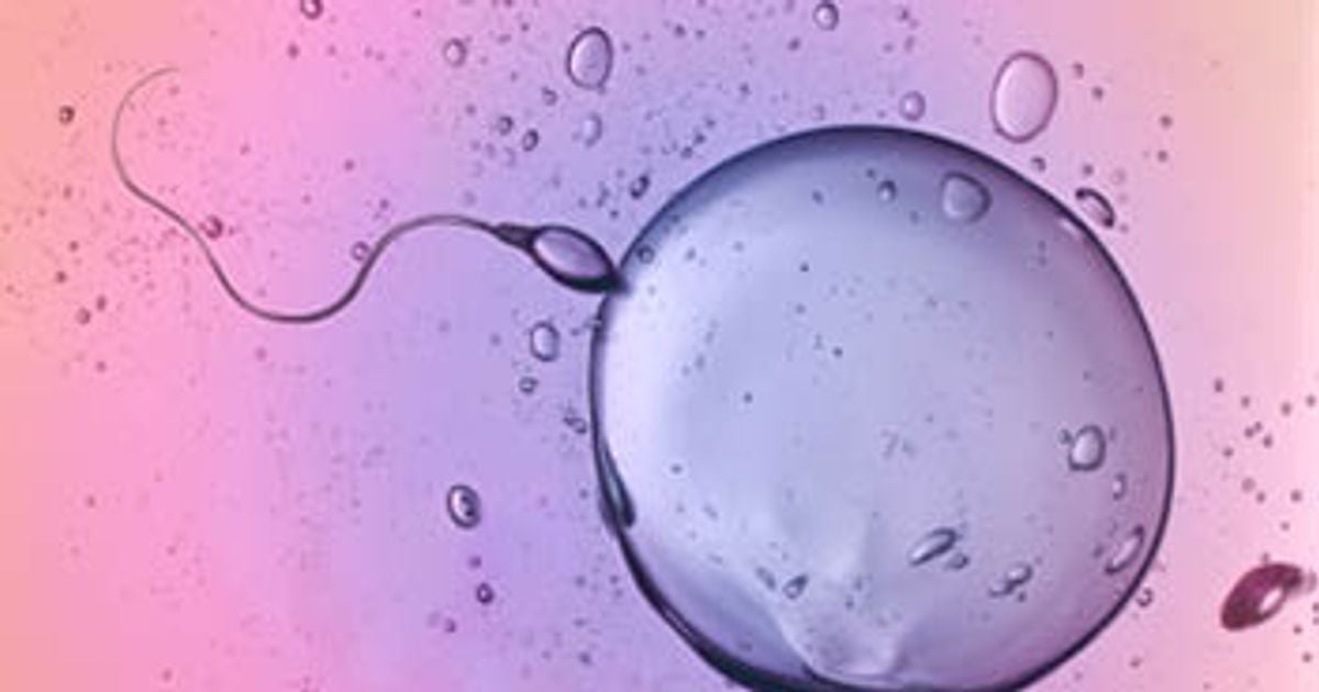 Infertility facts and figures - Today's Parent