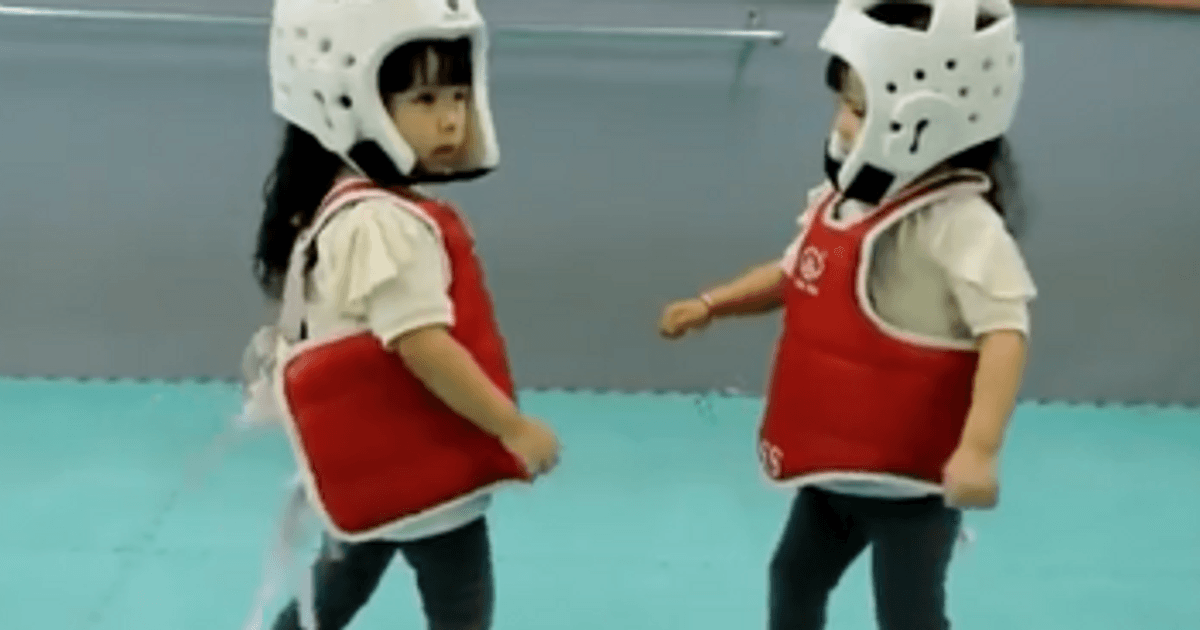 The cutest martial arts fight ever - Today's Parent