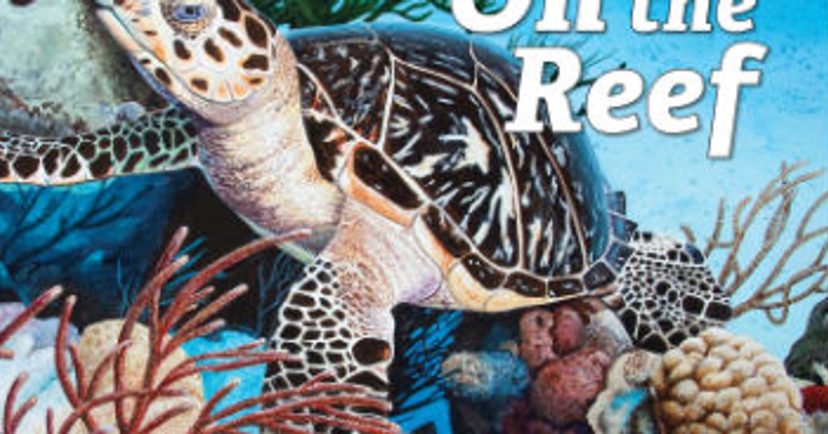 On the Reef: a book that'll make your kid care about protecting ...