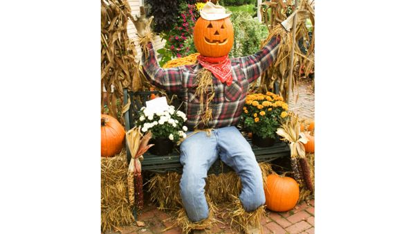 50 must-do fall activities for families - Today's Parent