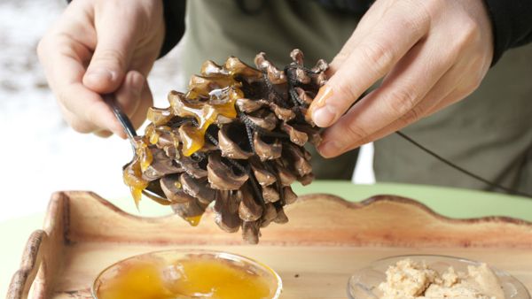 25 nature-inspired activities for toddlers - Today's Parent