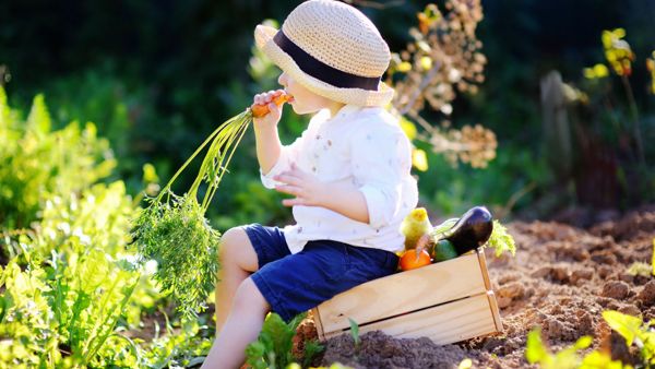 50 essential summer activities - Today's Parent - Today's Parent