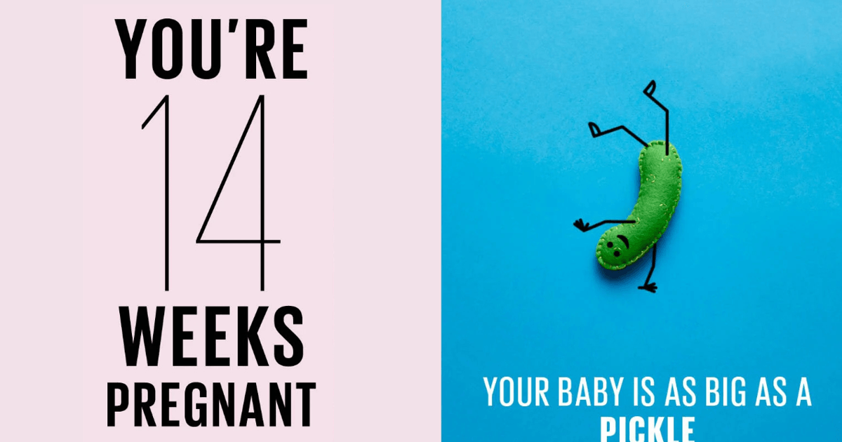 14 weeks pregnant | Symptoms, tips and more - Today's Parent
