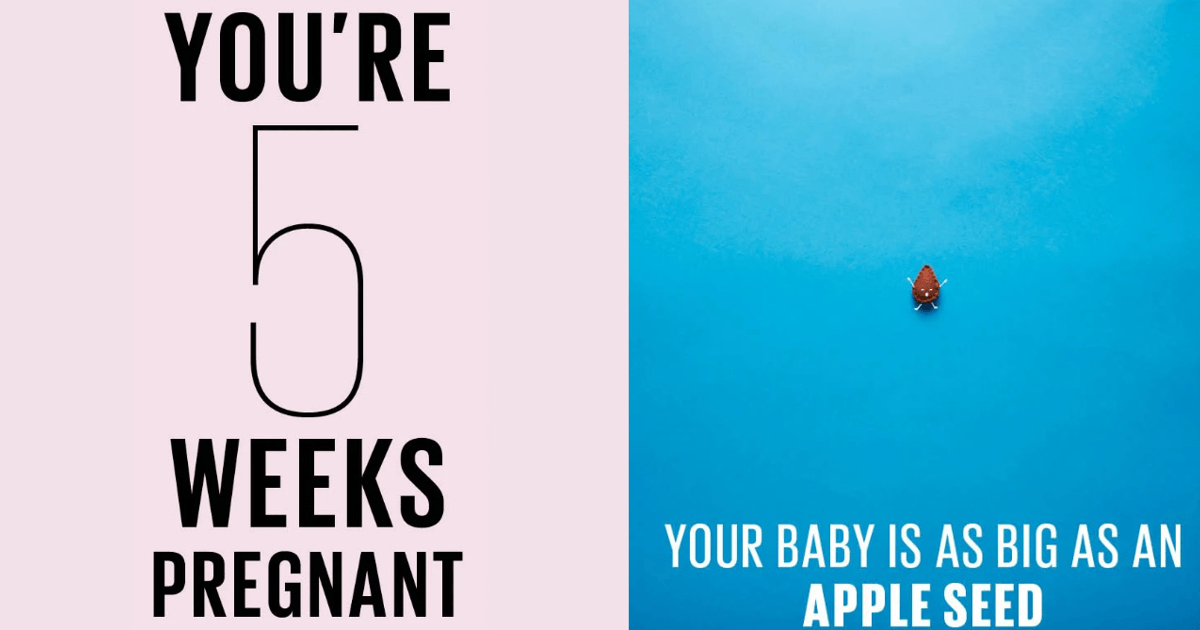 5 weeks pregnant | Symptoms, tips and more - Today's Parent