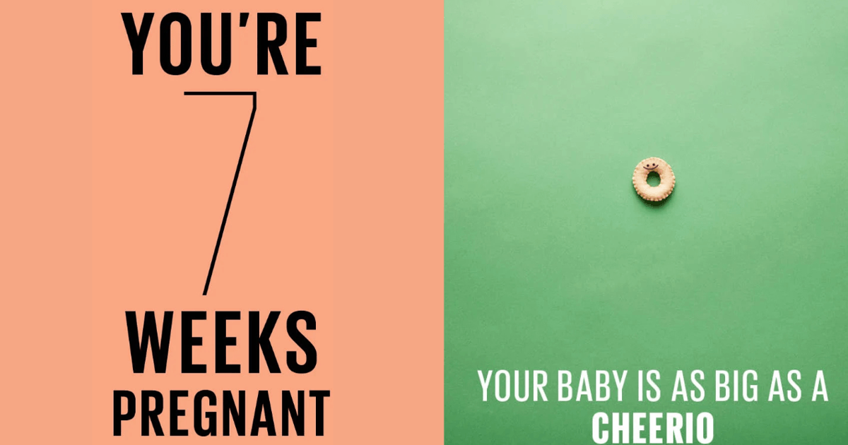 7 weeks pregnant | Symptoms, tips and more - Today's Parent