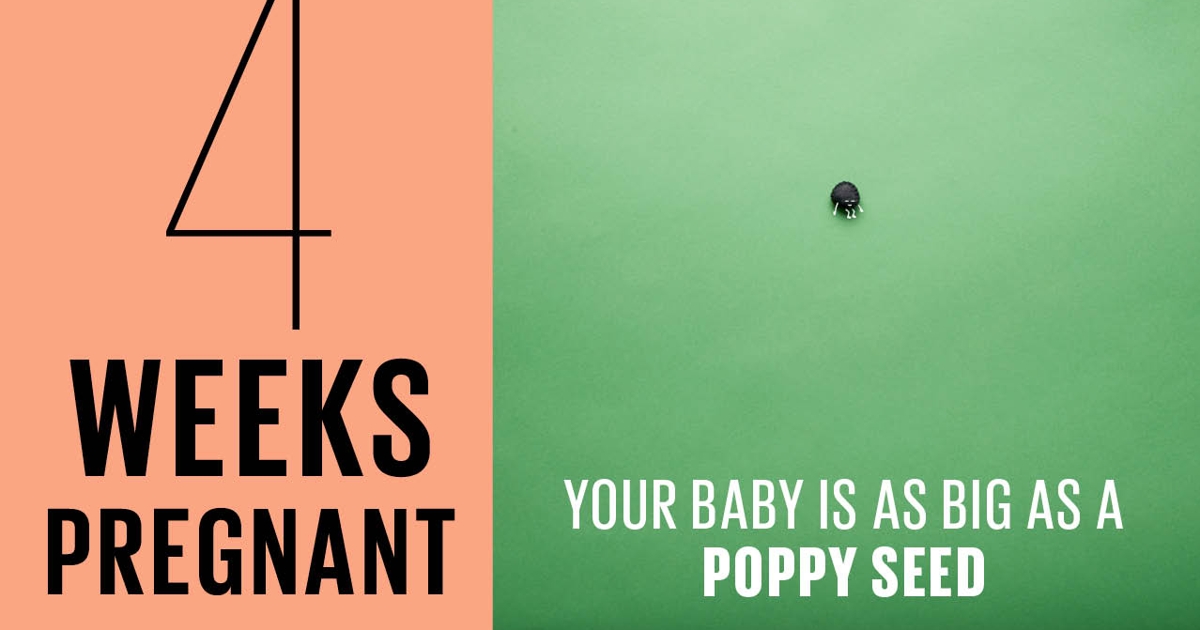 4 weeks pregnant | Symptoms, tips and more | Today's Parent - Today's ...
