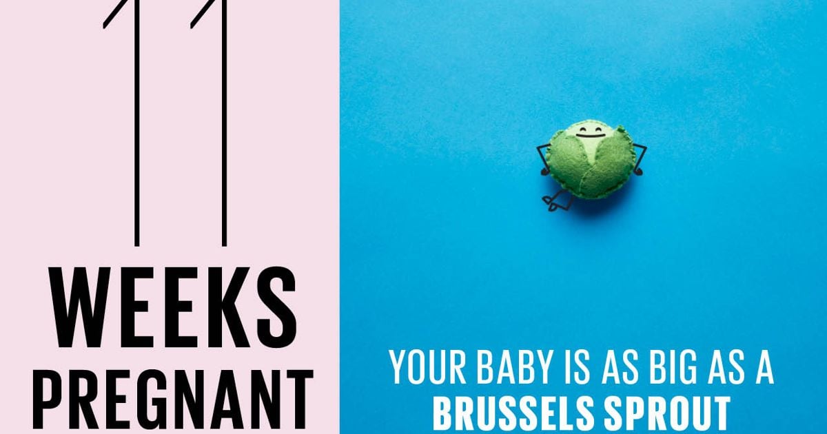 11 weeks pregnant | Symptoms, tips and more - Today's Parent