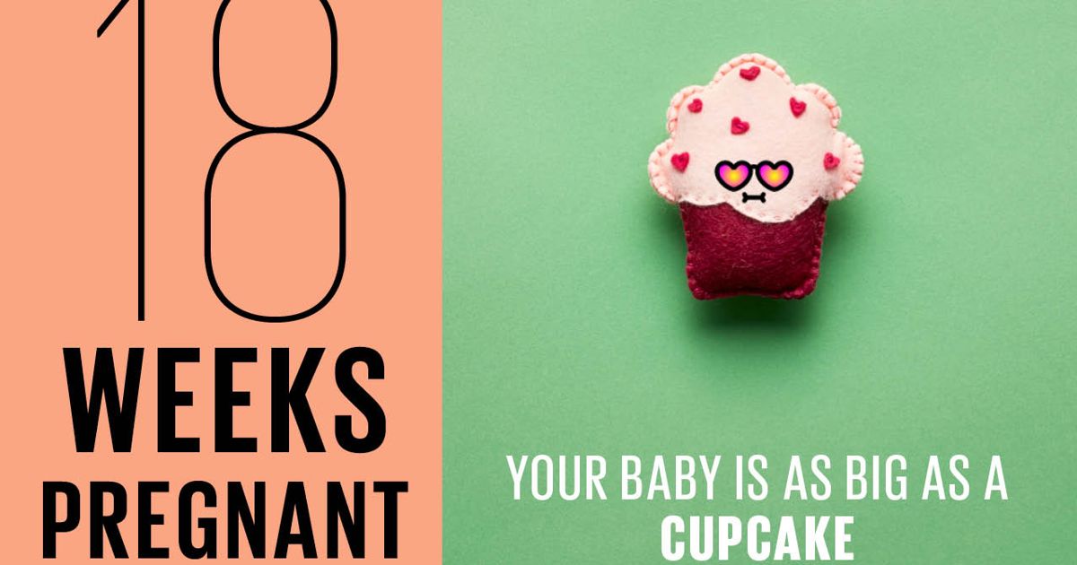 18 weeks pregnant | Symptoms, tips and more - Today's Parent