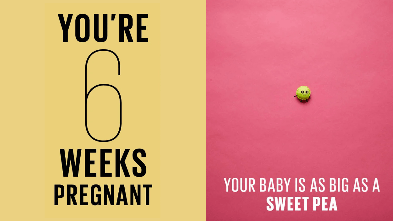 Pregnancy 6 Weeks And Half