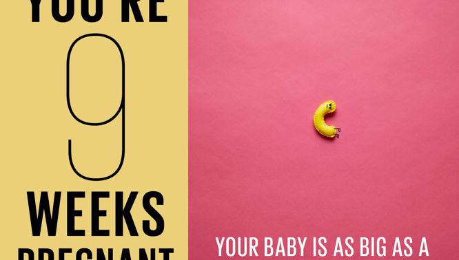 Page 2 | Pregnancy by week - Today's Parent