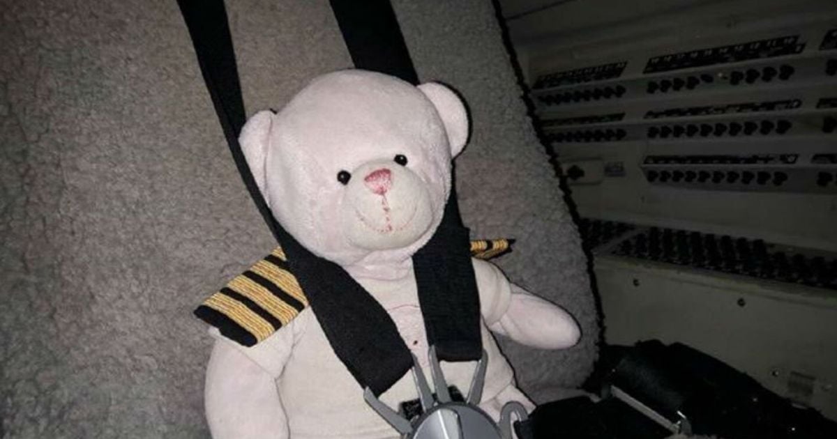 How far would you go to reunite your child with their teddy bear ...