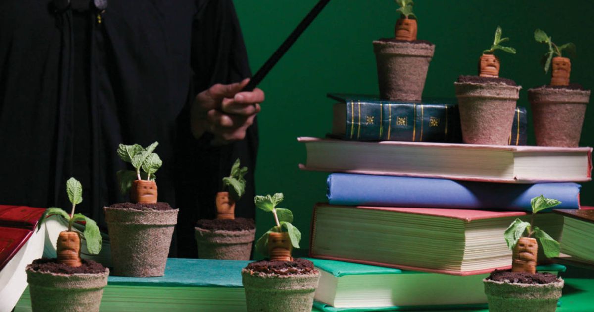 How to make Mandrake Cupcakes - Today's Parent