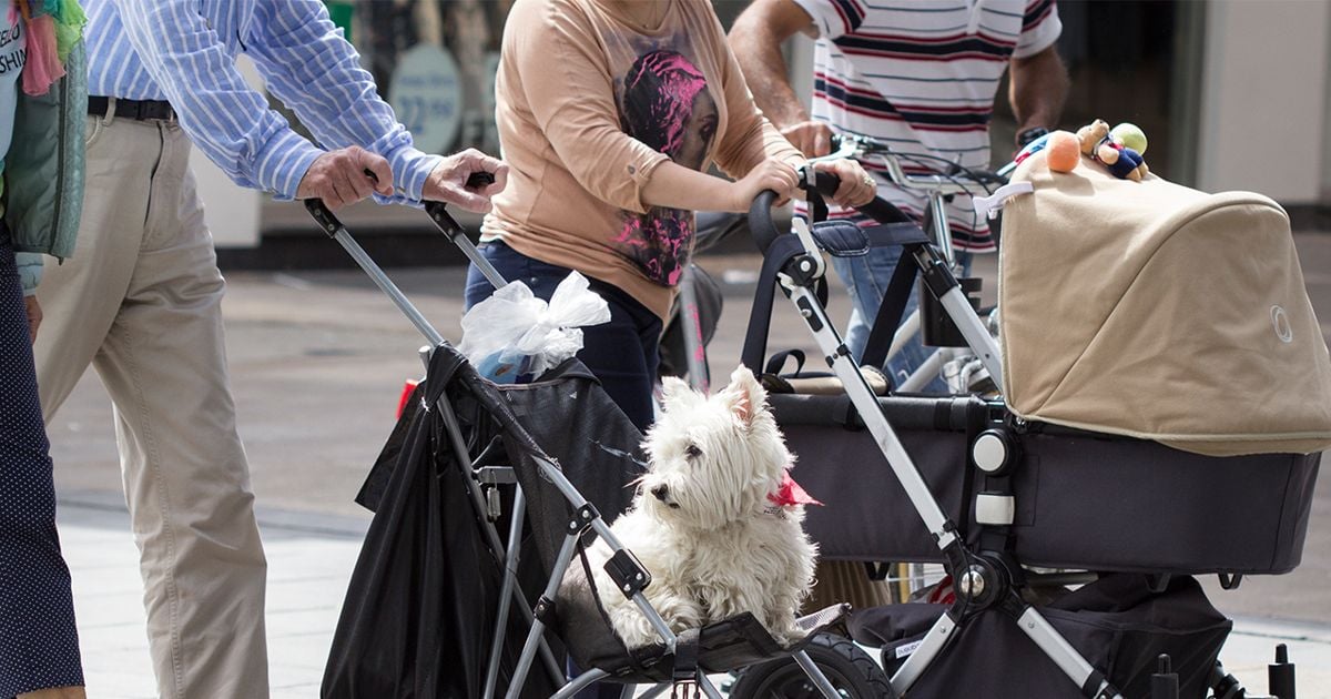 Signs You're Ready to Have a Baby - Today's Parent