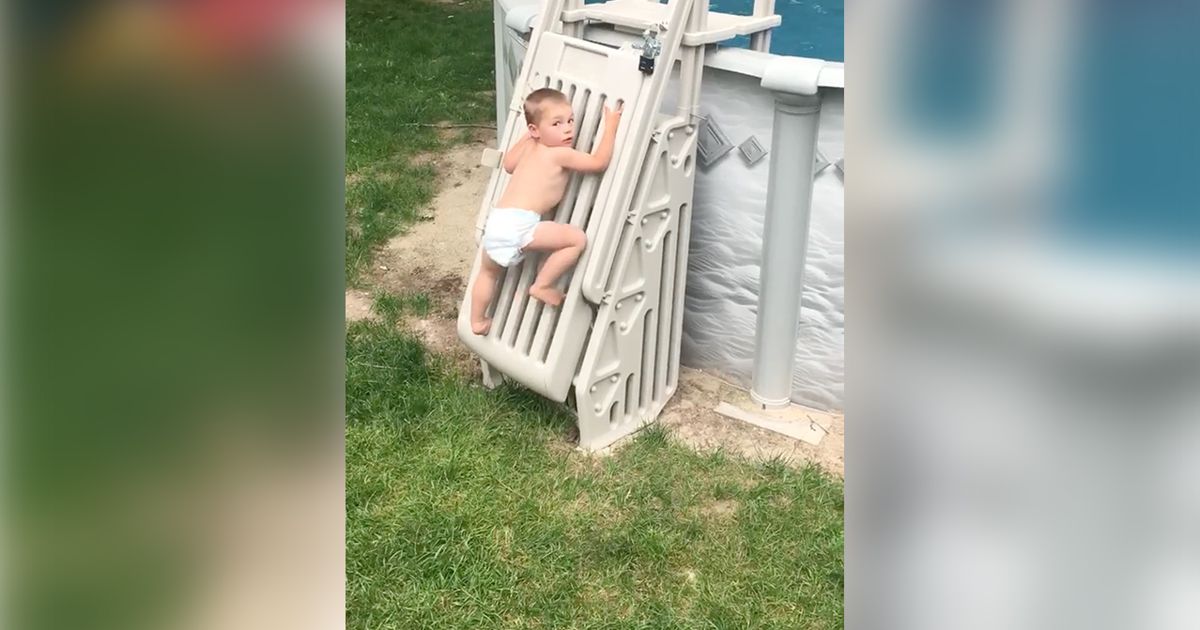 Think your backyard pool is safe? Check out this toddler climb a locked ...