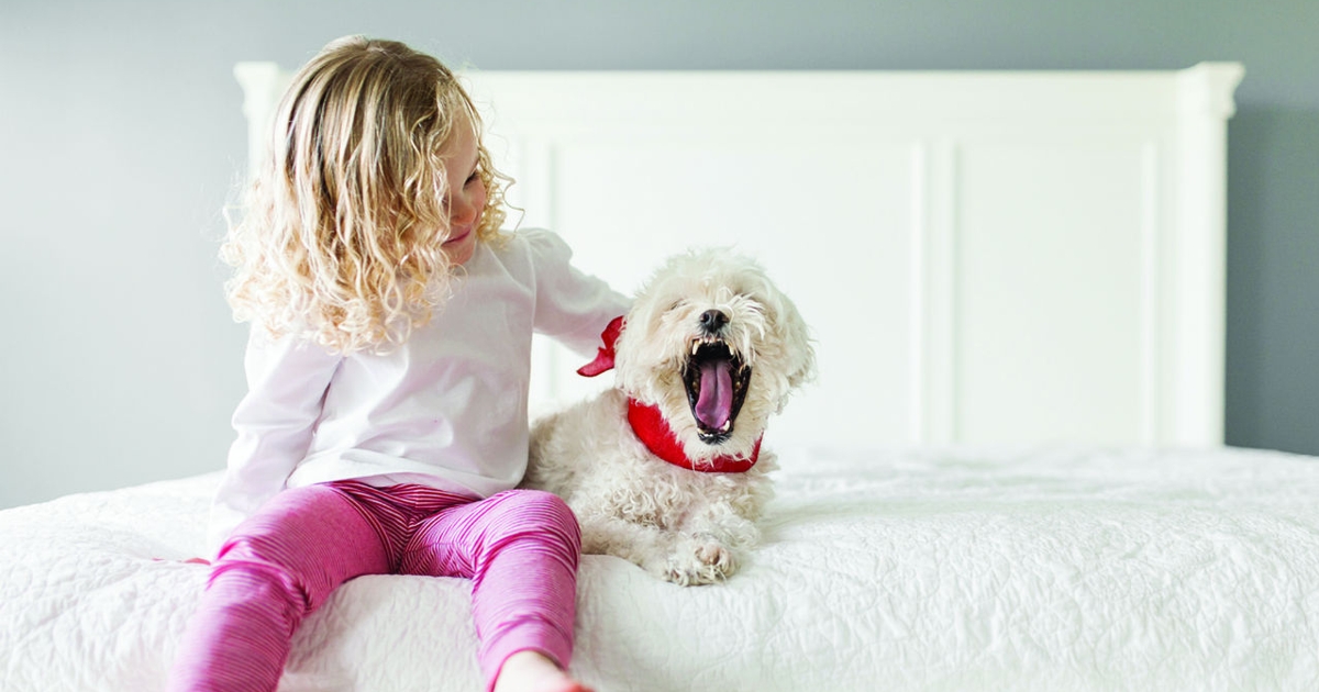 How to teach your kid to safely approach dogs - Today's Parent