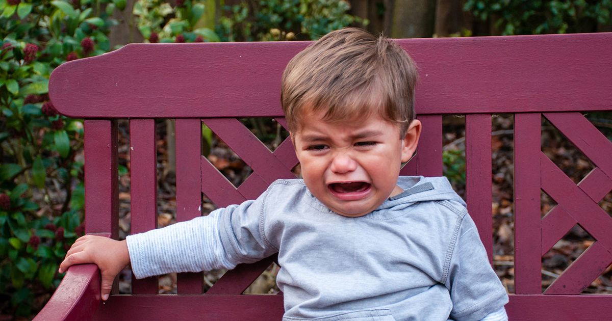 Parents are sharing their toddler meltdown stories and it's hilarious ...