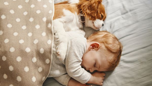 Sleep and feeding schedules for your baby and toddler - Today's Parent
