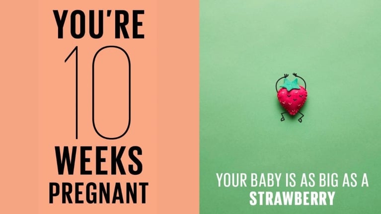 Drinking At 10 Weeks Pregnant 10 Weeks Pregnant | Pregnancy