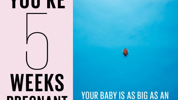 5 weeks pregnant | Symptoms, tips and more - Today's Parent
