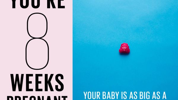 8 weeks pregnant | Symptoms, tips and more - Today's Parent