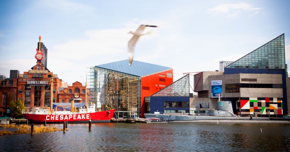 7 fun and family-friendly things to do in Baltimore with kids - Today's ...