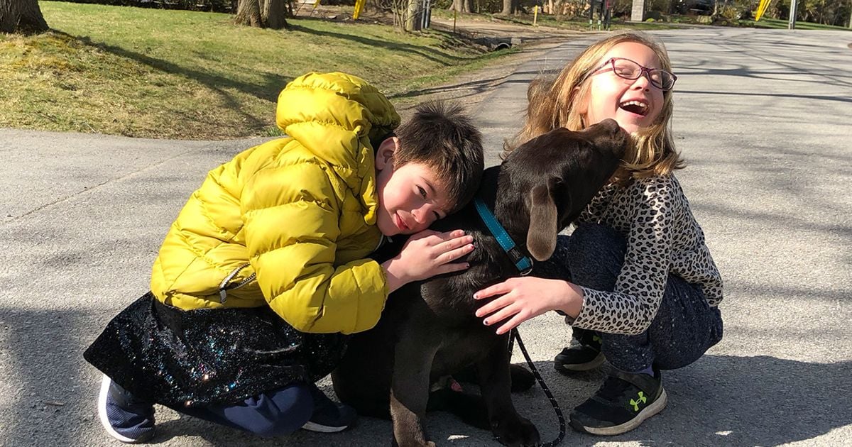 Is it a good idea to get a puppy in the middle of a global pandemic ...