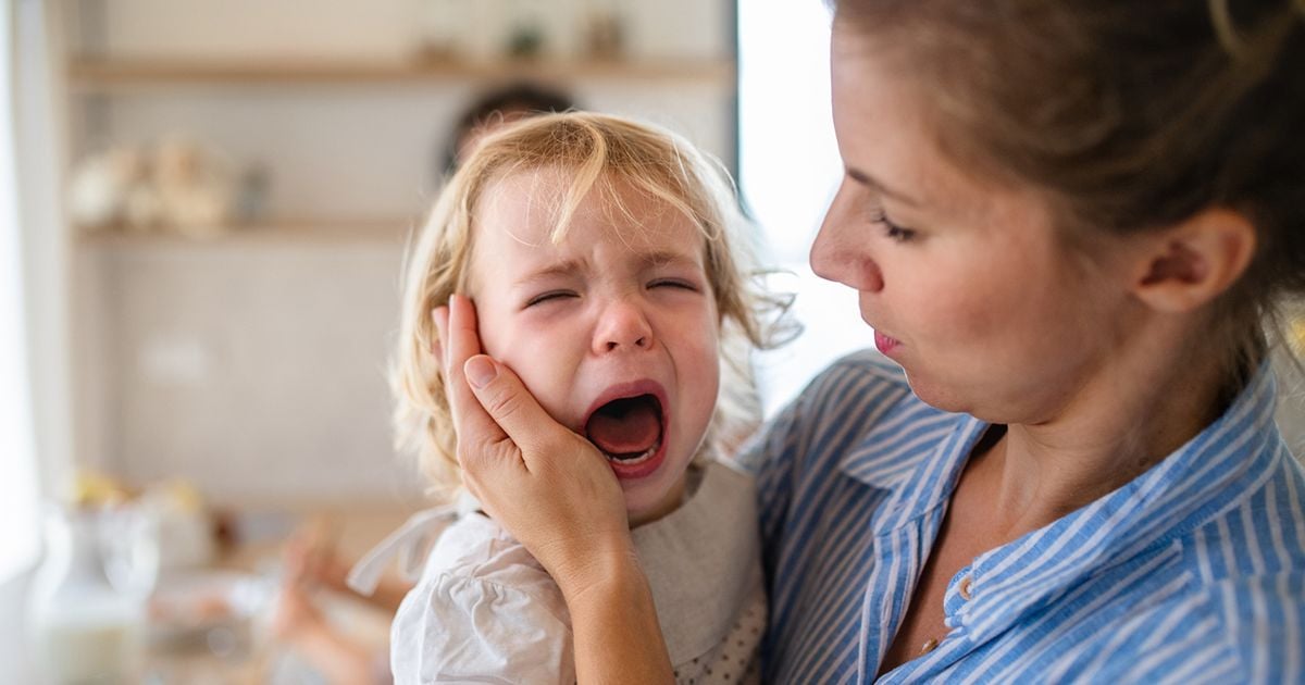 5 things to understand about toddlers before you try to tame their ...