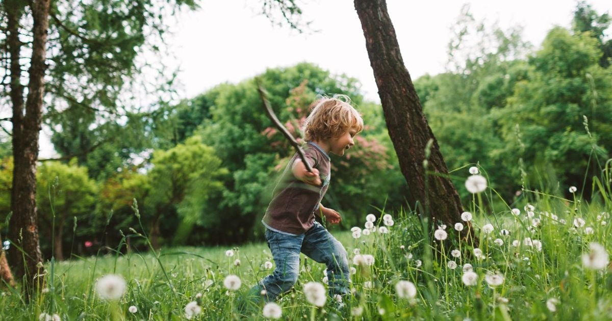 We used my son's stick collection as kindling and he totally lost it ...
