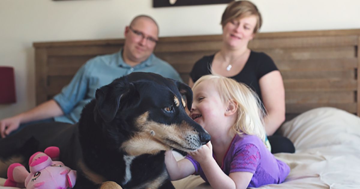 These three simple things helped my kids grieve after our pet died ...