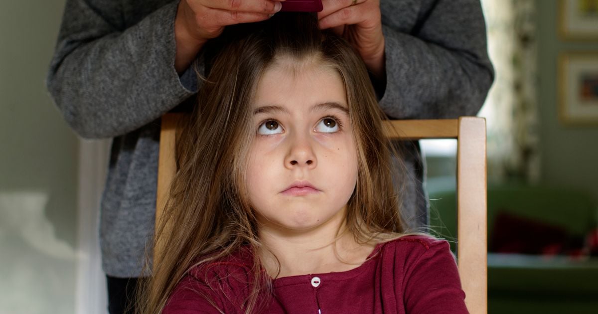 Head lice: Everything parents should know - Today's Parent
