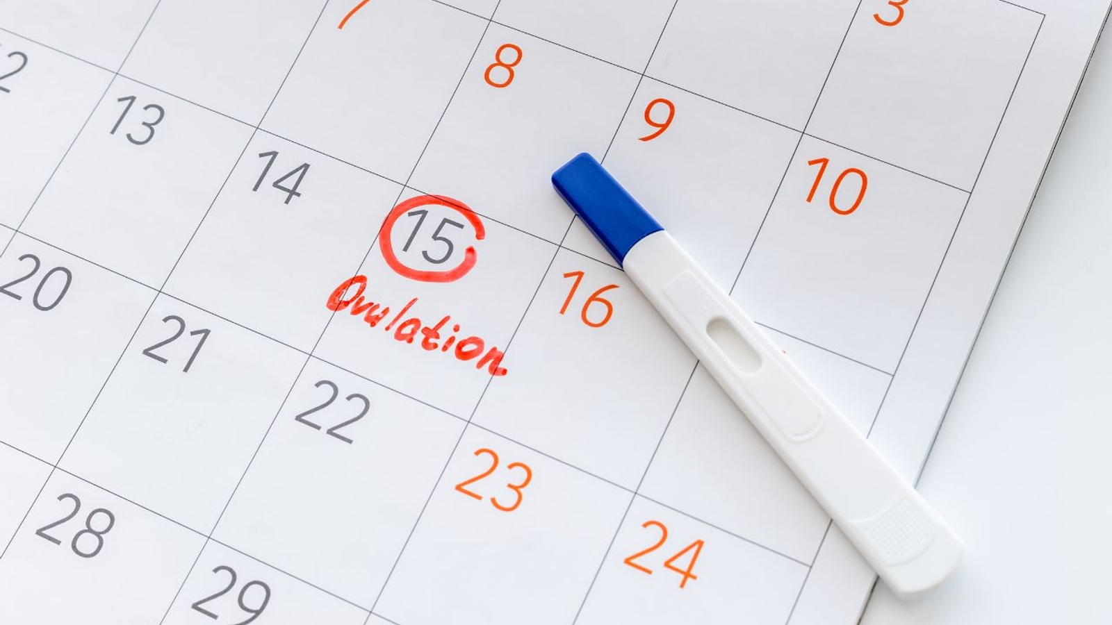 Ovarian Ovulation Hemorrhage Facilitation Of Ovarian Response By