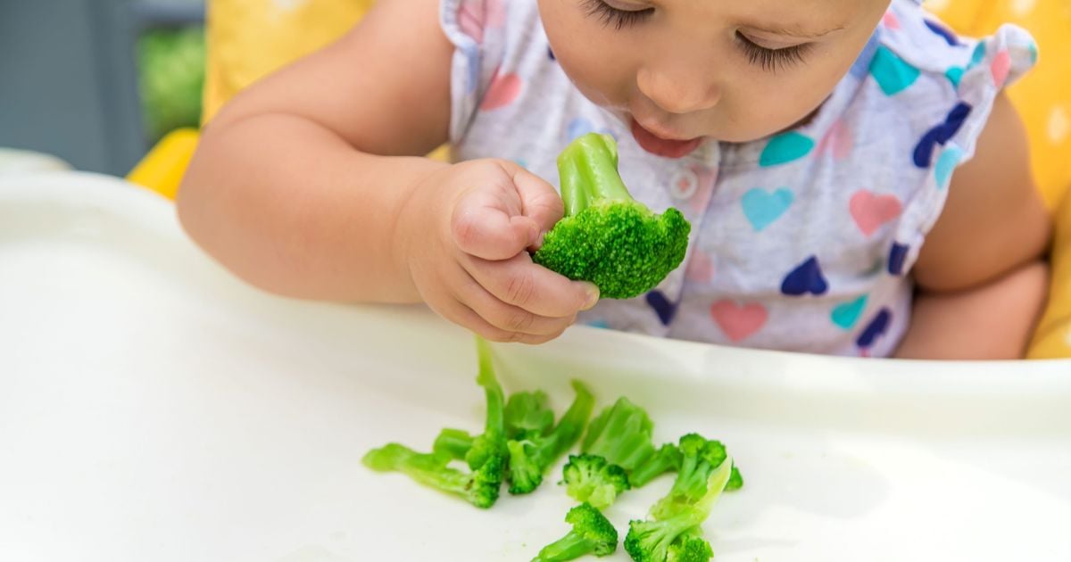 Baby Snacks: Nutritious and Delicious Options for Your Little One ...
