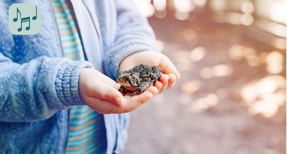 Frog Went A-Courtin Lyrics - Today's Parent