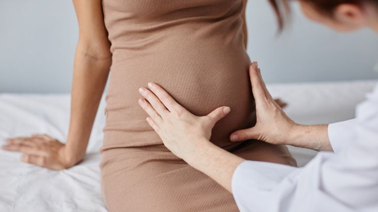 When Does A Baby's Sex Develop in the Womb? Experts Explain - Today's Parent