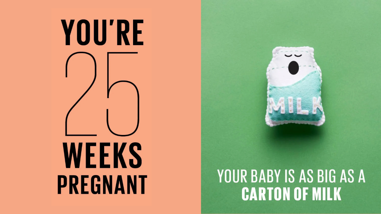 25 Weeks Fetus Size Baby Bump #2 | 25 Weeks | You're So Martha